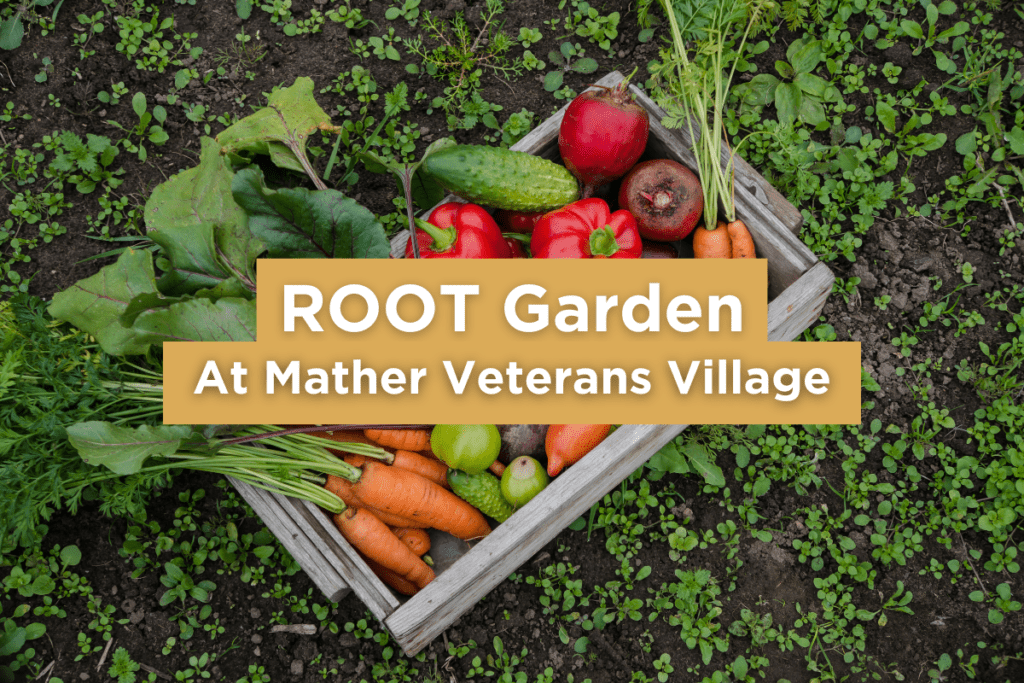 New ROOT Garden Produces Homegrown Produce for Veterans